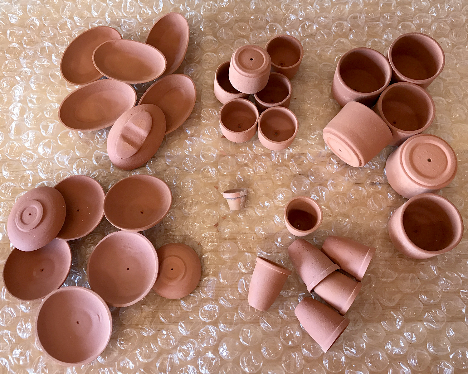 Pots, Yucca, Color – nancyland.com