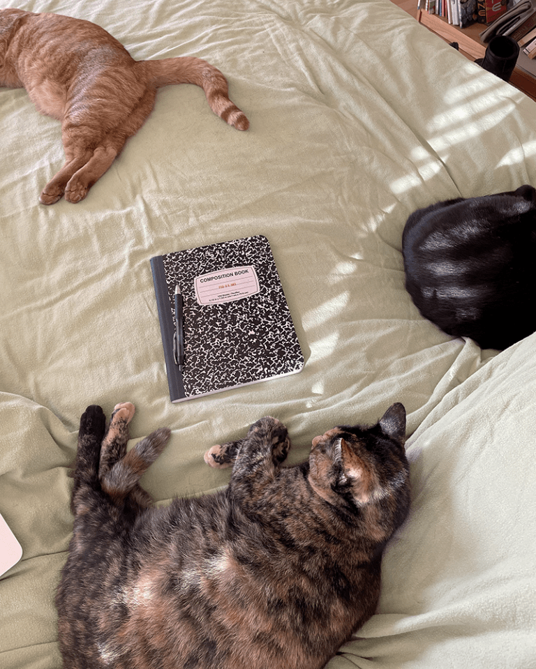 blog – nancyland.com